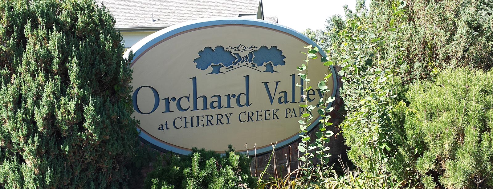 Orchard Valley | Drew's Home Team